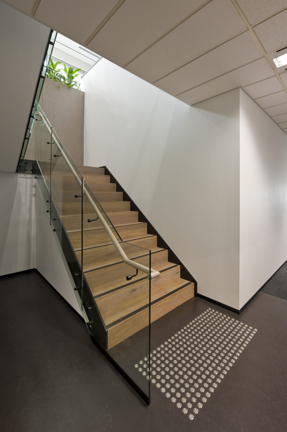 Evans & Peck | Project | Active Metal